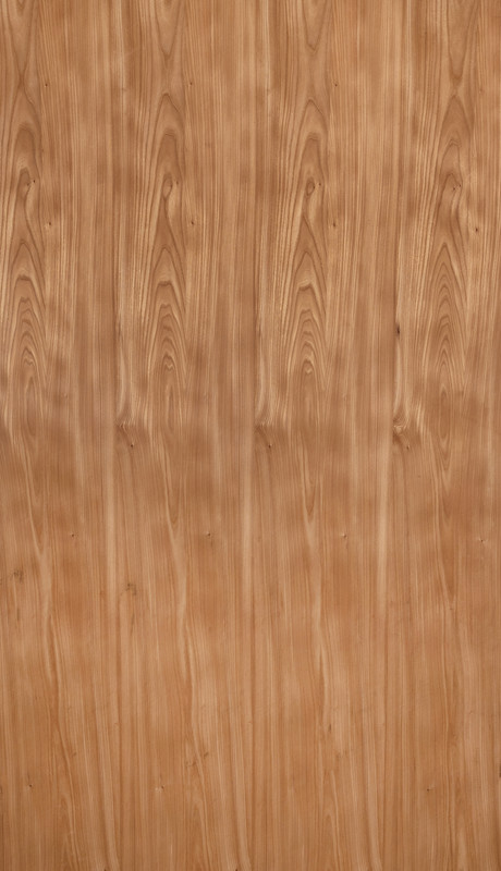 Red Elm - Venzowood